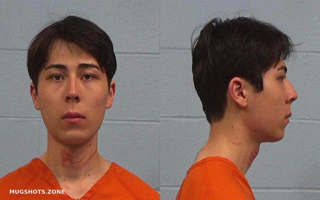 KRIESEL KARL WILLIAM 03/10/2025 - Williamson County Mugshots Zone