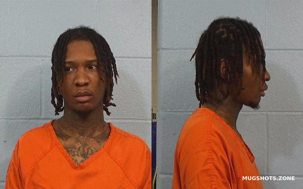 JOHNSON NICHOLAS TREVON 03/13/2025 - Williamson County Mugshots Zone
