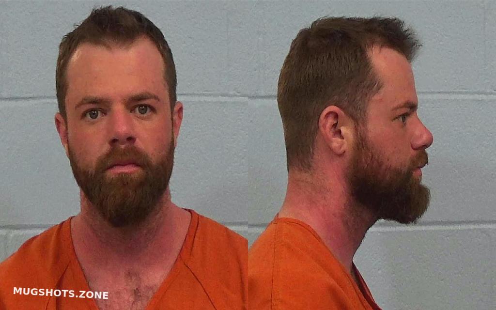 STANLEY SHEA DYLAN 03/13/2025 - Williamson County Mugshots Zone