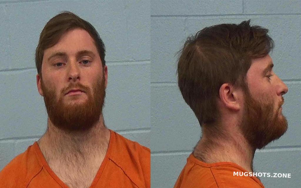 ZORN ETHAN TYLER 03/13/2025 - Williamson County Mugshots Zone