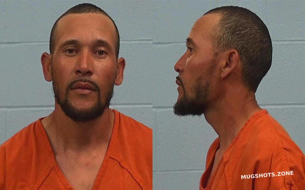 MARTINEZ OSMAN 03/16/2025 - Williamson County Mugshots Zone