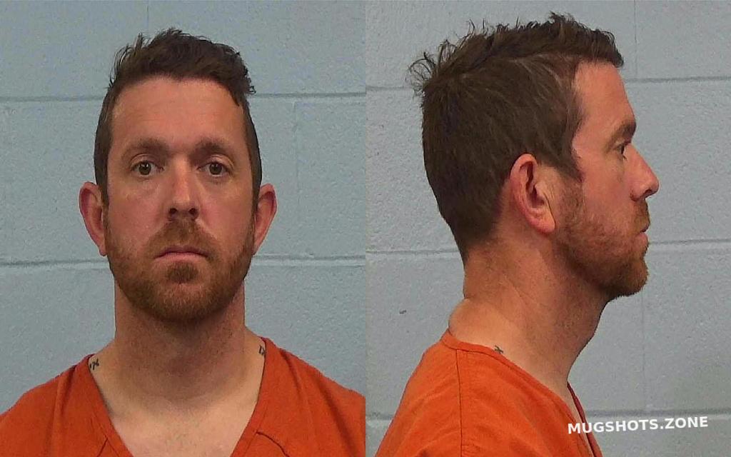 RICHARDSON RAYSE BRANDON 03/20/2025 - Williamson County Mugshots Zone