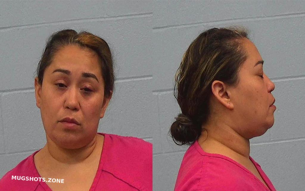BENAVIDES FELICIA ANN 03/20/2025 - Williamson County Mugshots Zone