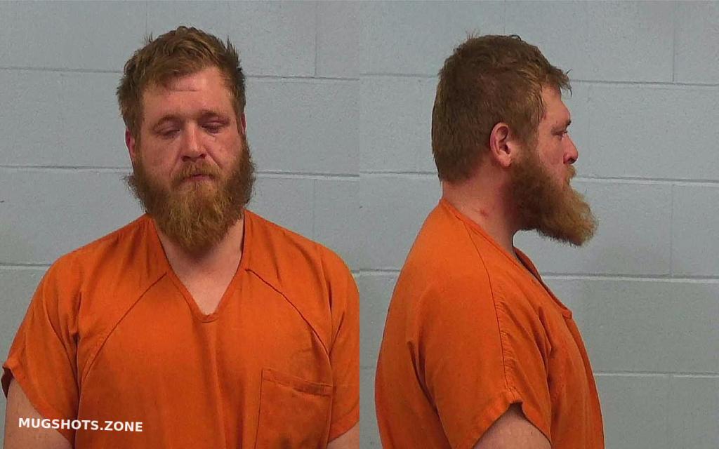 LYONS JOSEPH DAVID 03/20/2025 - Williamson County Mugshots Zone