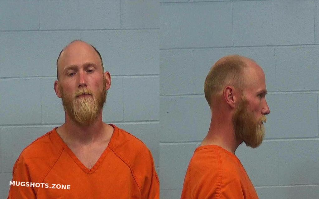 CHRISTOPHER SANDERS ALAN 03/21/2025 - Williamson County Mugshots Zone