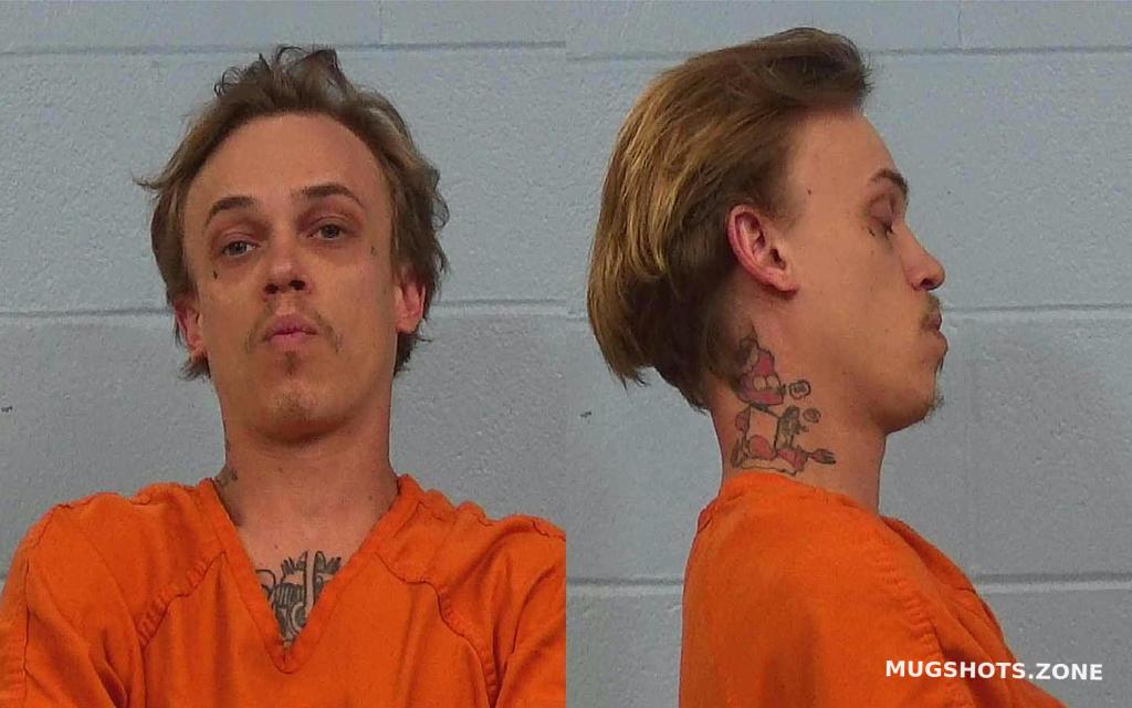 HARTL ETHAN THOMAS 03/25/2025 - Williamson County Mugshots Zone
