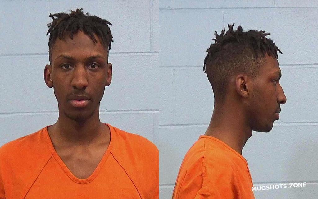 DOCKINS DENZEL LEE 03/25/2025 - Williamson County Mugshots Zone