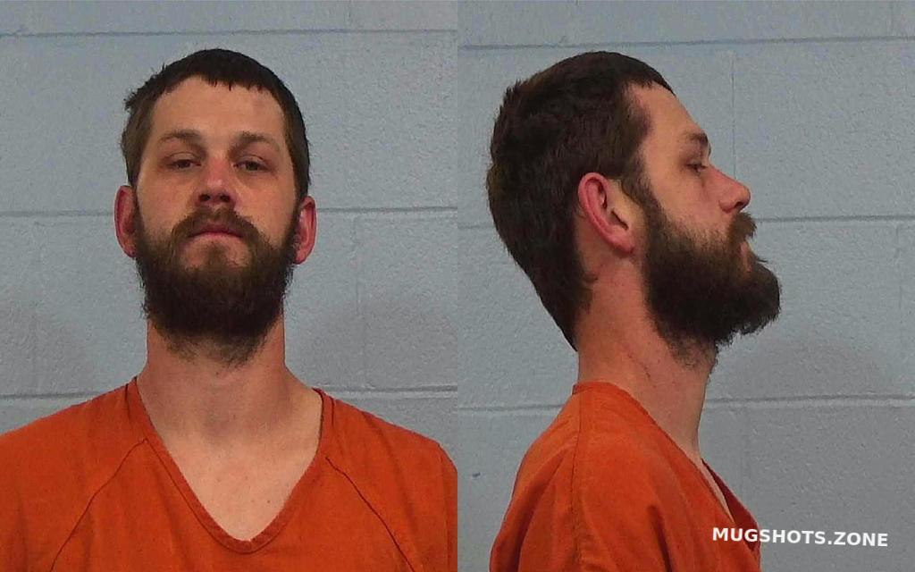 FRANKS REECE ALAN 03/30/2025 - Williamson County Mugshots Zone