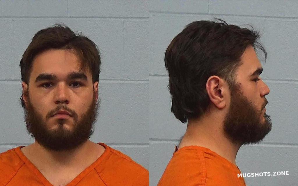 NEGRON CHRISTIAN JULIUS 03/31/2025 - Williamson County Mugshots Zone