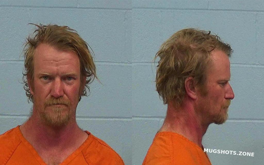 HIGGINS STEPHEN MICHAEL 04/01/2025 - Williamson County Mugshots Zone