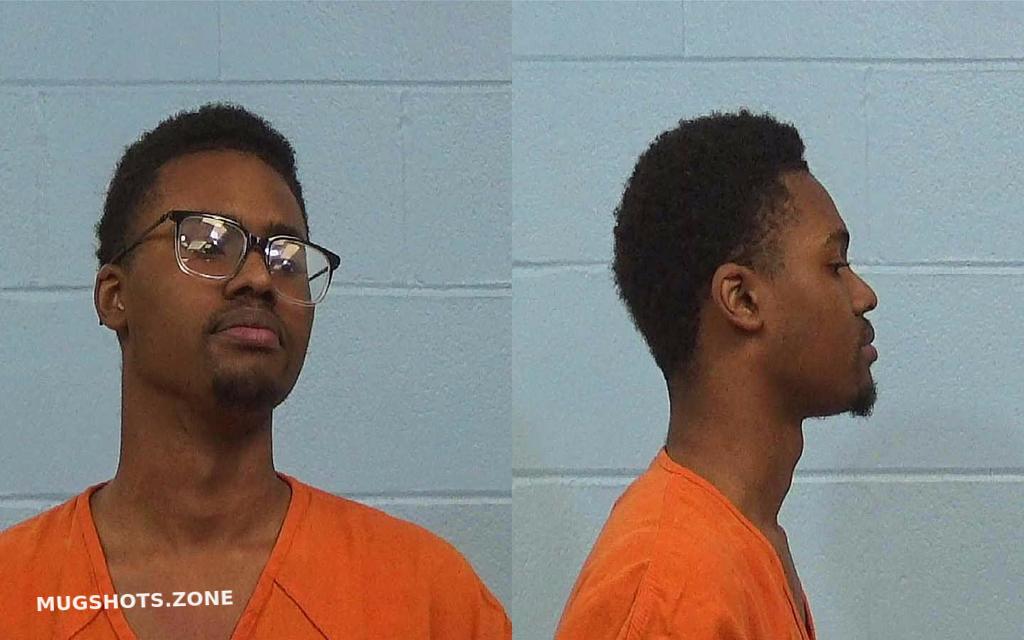 NOBEL SAMUEL KENNETH 04/01/2025 - Williamson County Mugshots Zone