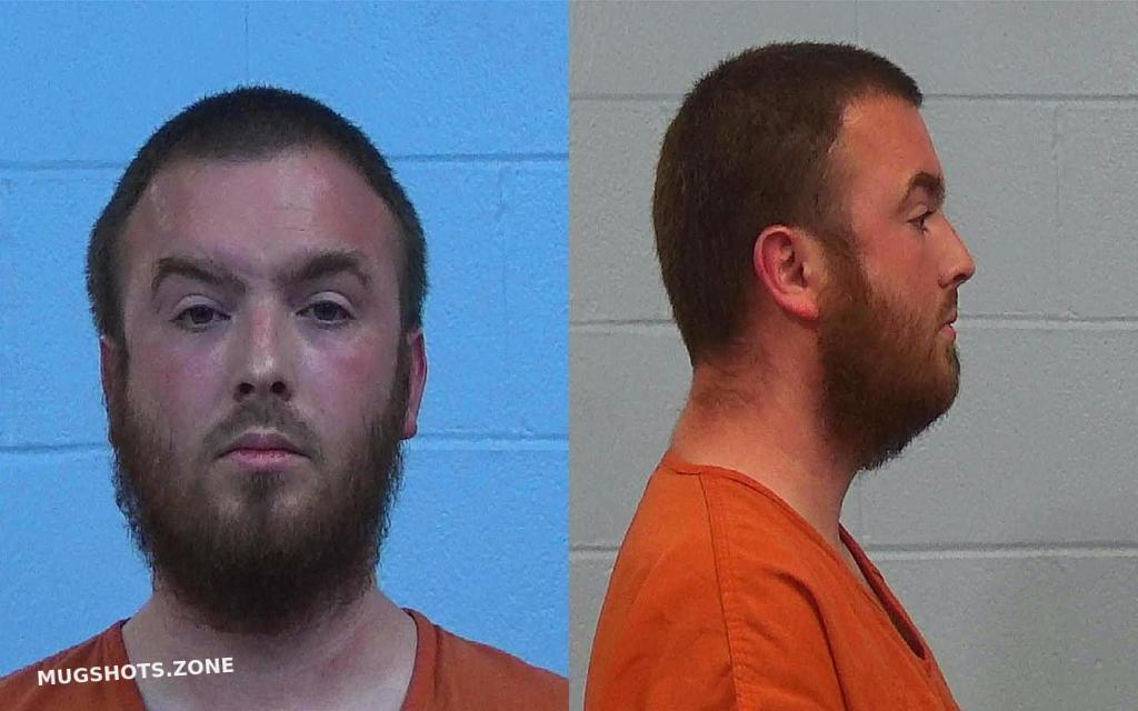 DOYLE BENJAMIN DWAYNE 04/05/2025 - Williamson County Mugshots Zone