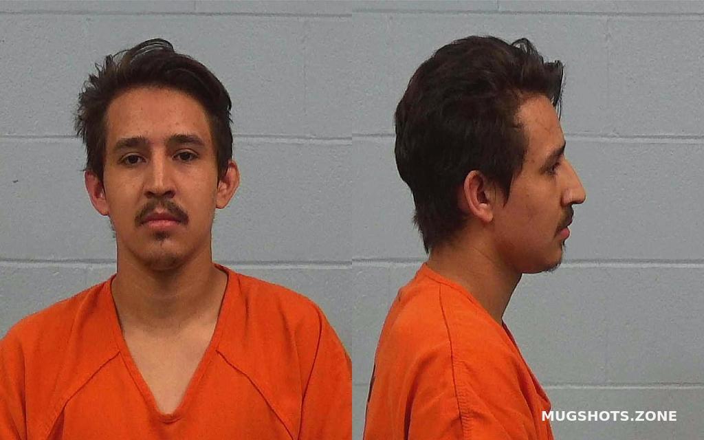 GROGAN JULIAN ISAIAH 04/12/2025 - Williamson County Mugshots Zone