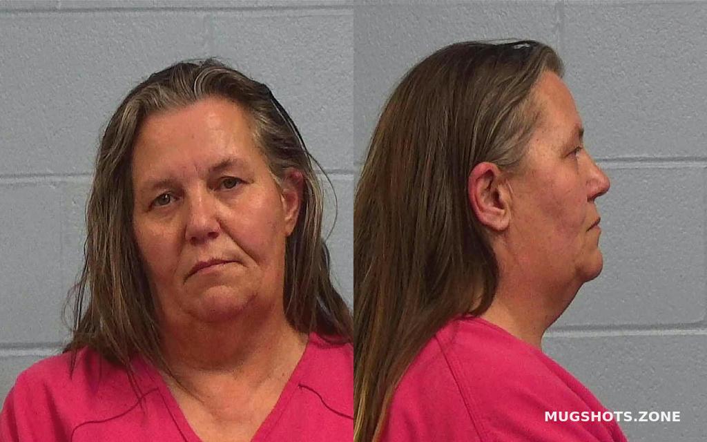 HENRY BRANDY ANN 04/13/2025 - Williamson County Mugshots Zone