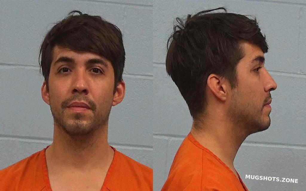 SACCAR MICHEAL ANDREAS 04/17/2025 - Williamson County Mugshots Zone
