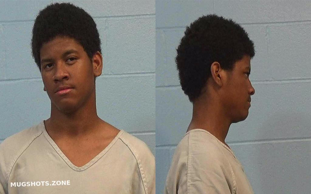 HILL RODNEY CHARLES 04/19/2025 - Williamson County Mugshots Zone