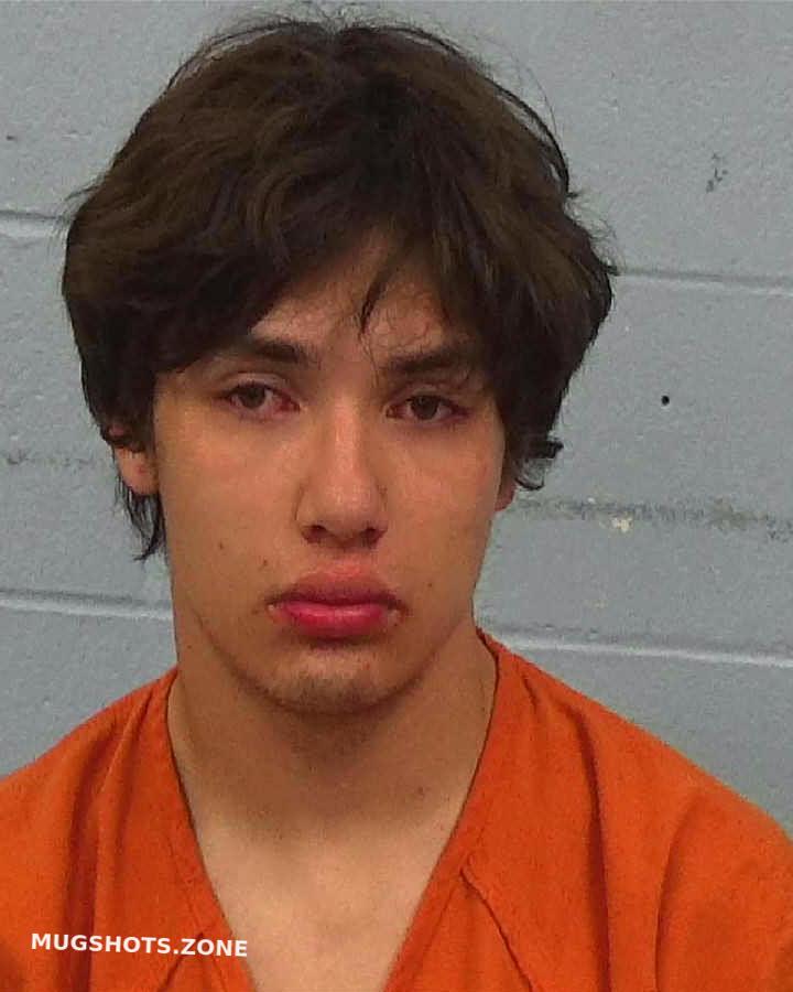 NAVA IAN 04/23/2025 - Williamson County Mugshots Zone