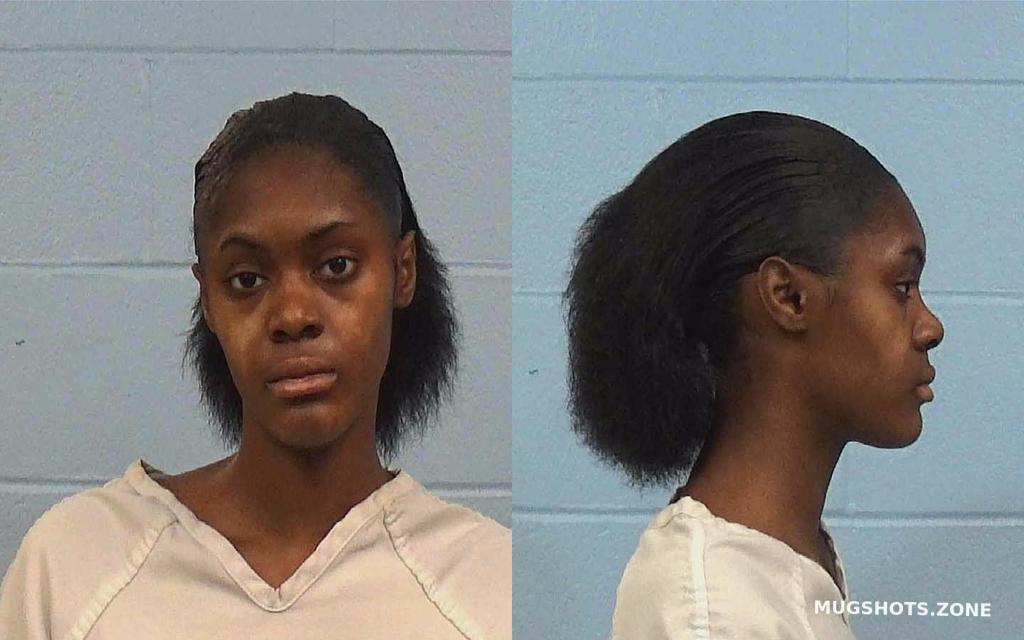 MADISON JARDIN JAMARION 04/23/2025 - Williamson County Mugshots Zone