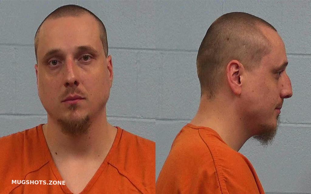 HALEY LORAN JAMES 04/24/2025 - Williamson County Mugshots Zone