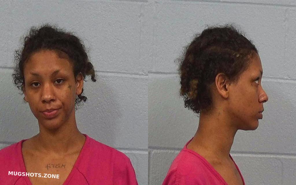 WILLIAMSON WHITNEY ELISABETH 04/24/2025 - Williamson County Mugshots Zone