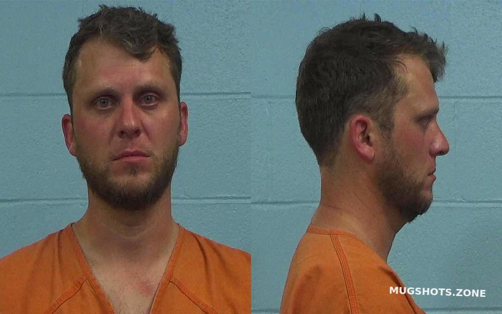 LINSCOTT DAVID HENRY LEWIS 05/04/2025 - Williamson County Mugshots Zone