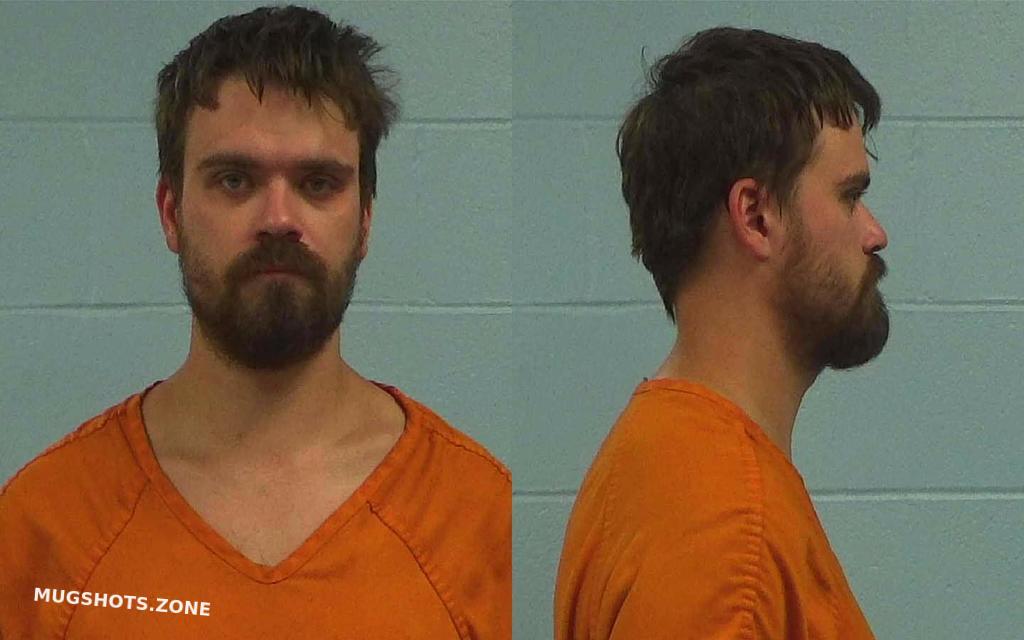 REVELL WESLEY SKY 05/05/2025 - Williamson County Mugshots Zone