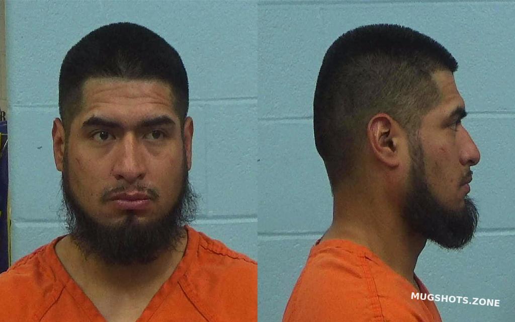 ROBLES HOMERO JR. 05/05/2025 - Williamson County Mugshots Zone