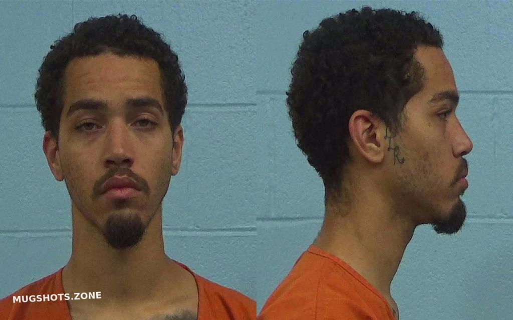 STEPHENS JOSHUA THOMAS 05/08/2025 - Williamson County Mugshots Zone