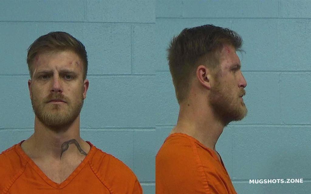 MENKIN ZACHARY JOSHUA 05/09/2025 - Williamson County Mugshots Zone