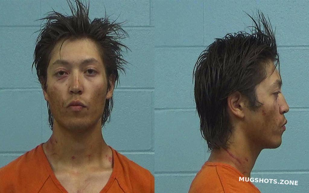 ROBLES AIDEN ERIC 05/13/2025 - Williamson County Mugshots Zone