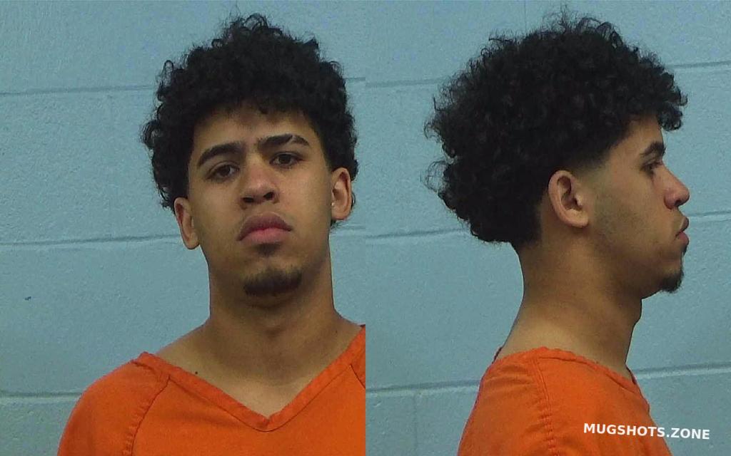 BLUNCO-REYES YOAN 05/14/2025 - Williamson County Mugshots Zone