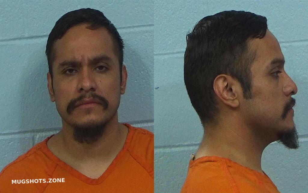 LARA AARON ALFERD 05/23/2025 - Williamson County Mugshots Zone