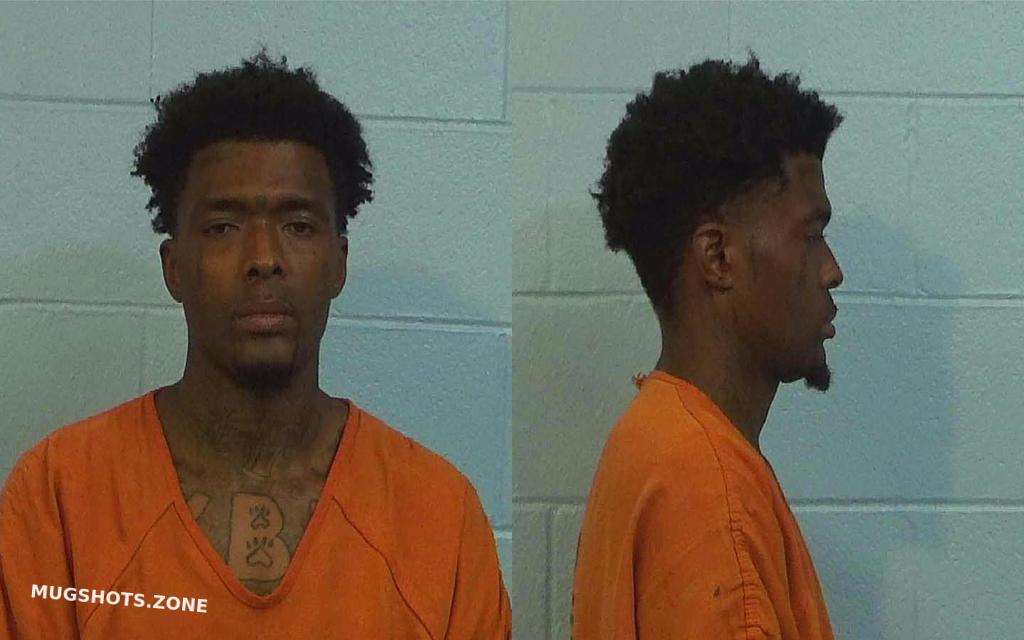 ALLEN GUY LEN JR. 05/27/2025 - Williamson County Mugshots Zone