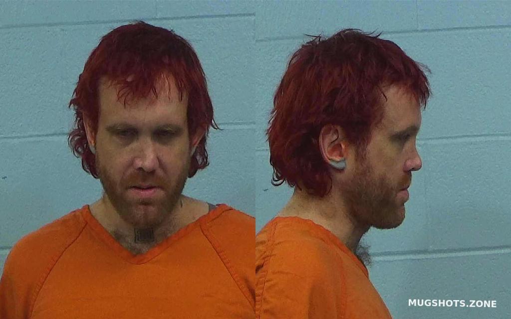 ANDERSON KIP ALLEN 05/31/2025 - Williamson County Mugshots Zone