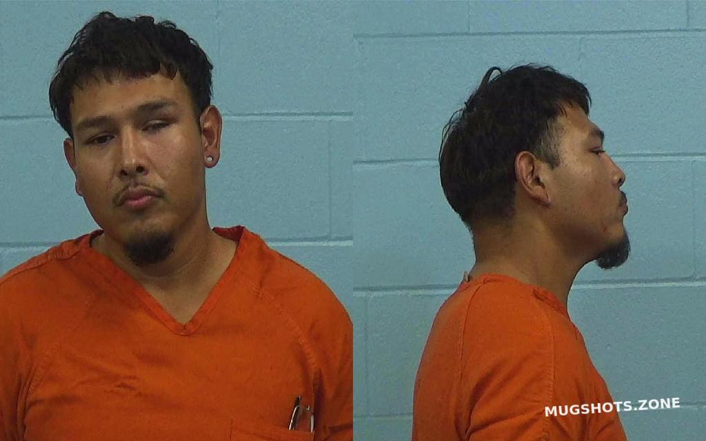 LOZA MAURICIO ANTONIO 06/04/2025 - Williamson County Mugshots Zone