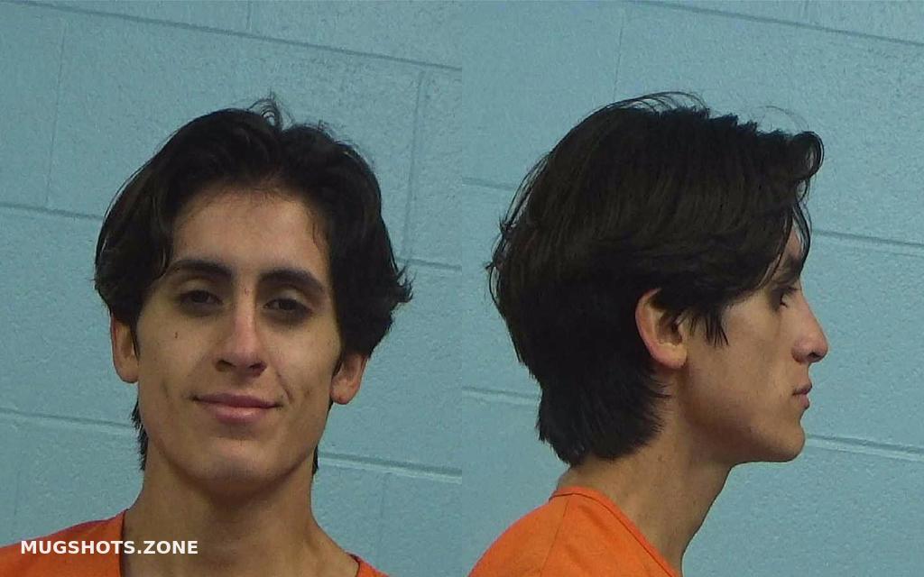 DAVILA RICKY JOE 06/06/2025 - Williamson County Mugshots Zone