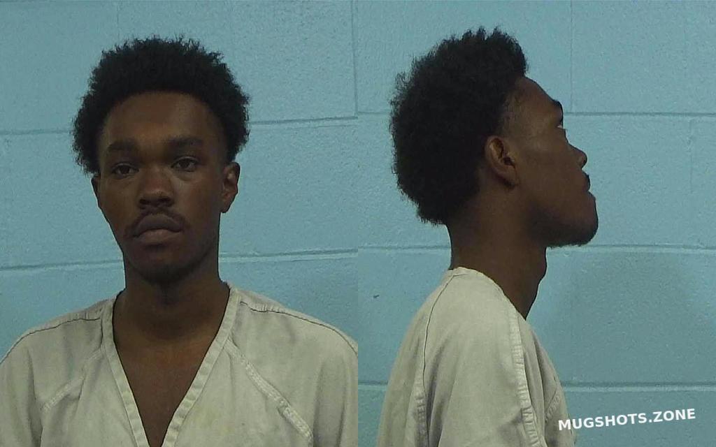 JOHNSON KALEB ANDREW 06/08/2025 - Williamson County Mugshots Zone