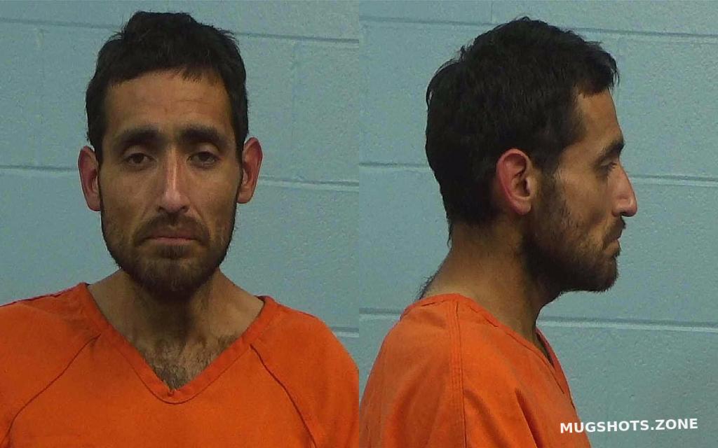 GOMEZ JOSEPH 06/13/2025 - Williamson County Mugshots Zone
