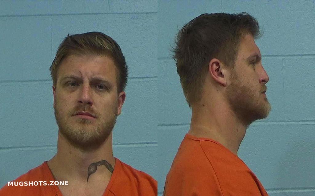 MENKIN ZACHARY JOSHUA 06/14/2025 - Williamson County Mugshots Zone
