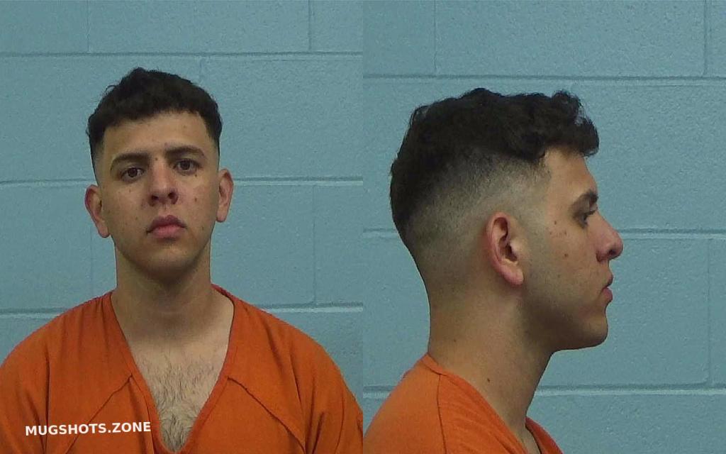 RODRIGUEZ-RANGEL MOISES 06/15/2025 - Williamson County Mugshots Zone