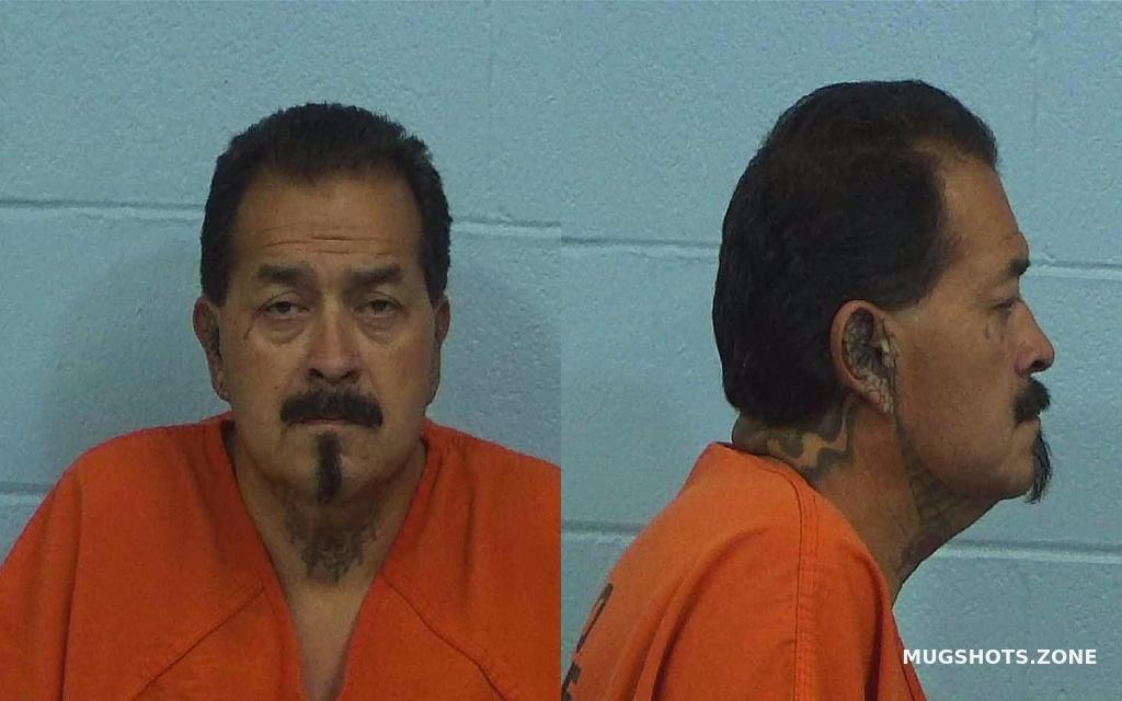 REYES JOHN CARLOS 06/17/2025 - Williamson County Mugshots Zone