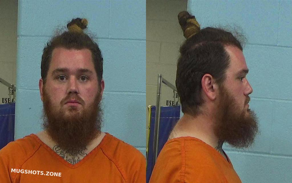 ANDERSON DYLAN BLAKE 06/25/2025 - Williamson County Mugshots Zone