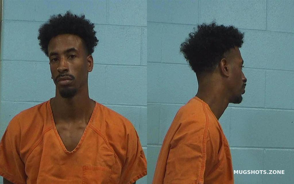 ANDREWS TYLER HAWLEY 07/01/2025 - Williamson County Mugshots Zone