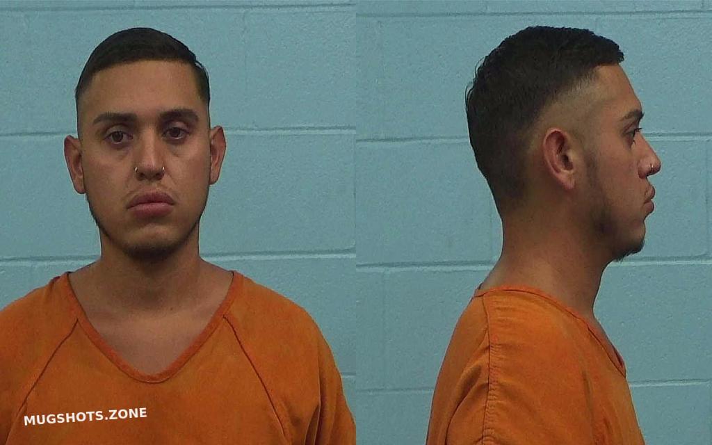 FELAN GREGORY MICHAEL 07/04/2025 - Williamson County Mugshots Zone