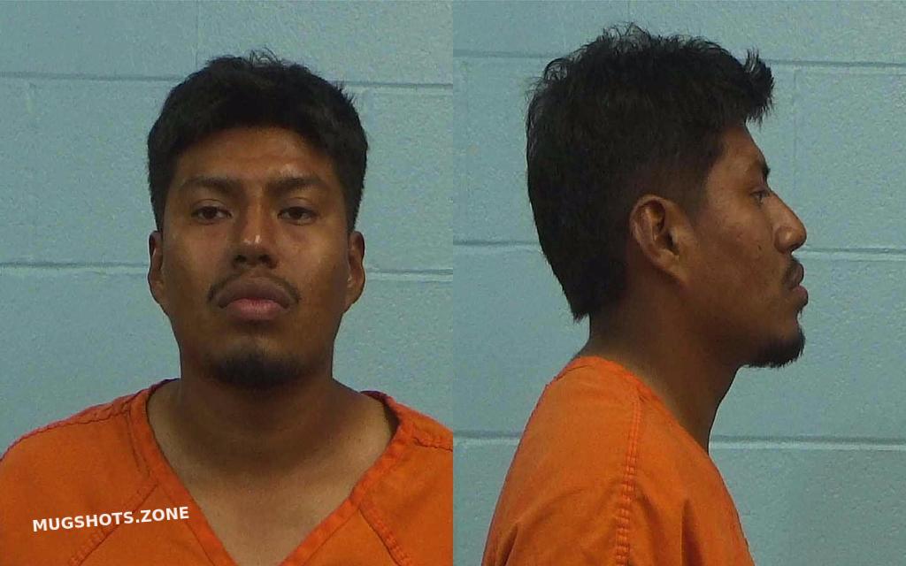 MAGANDA MOISES PIOQUINTO 07/11/2025 - Williamson County Mugshots Zone