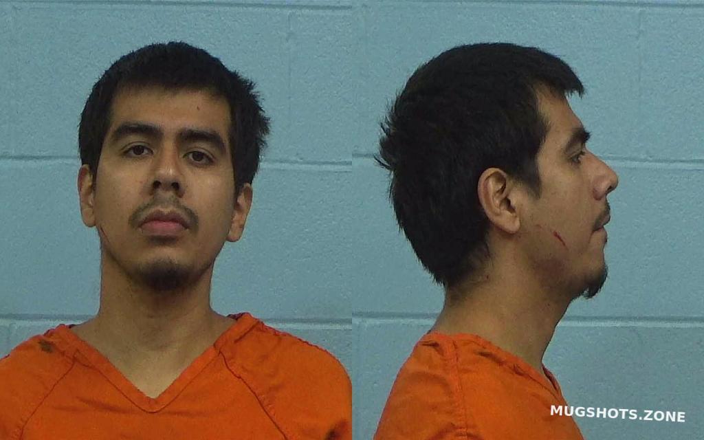 NAVA-CATZIN BRYAN 07/12/2025 - Williamson County Mugshots Zone