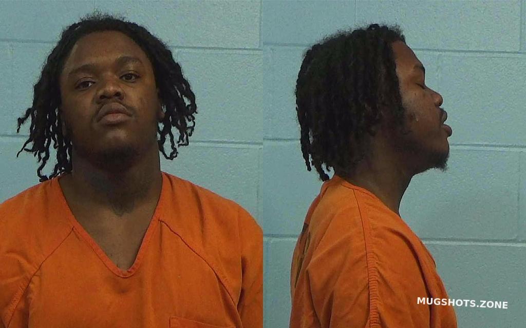 WILLIAMS JAMIL RASHID 07/15/2025 - Williamson County Mugshots Zone