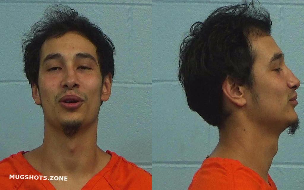 PHILLIPS RYAN DAVID ANTHONY 07/15/2025 - Williamson County Mugshots Zone