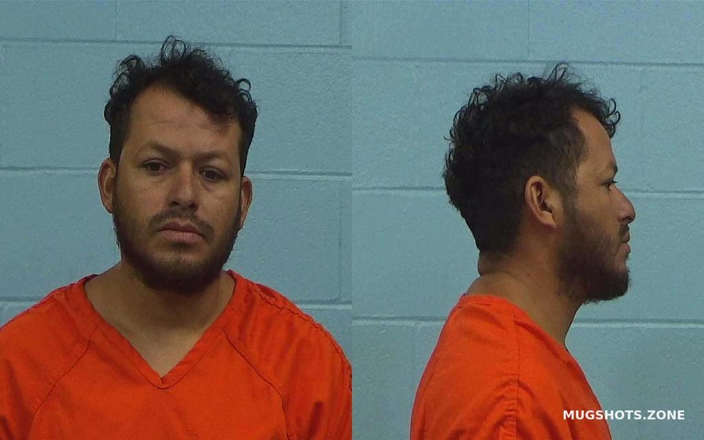 MENDEZ MARTIN LUNA 07/21/2025 - Williamson County Mugshots Zone