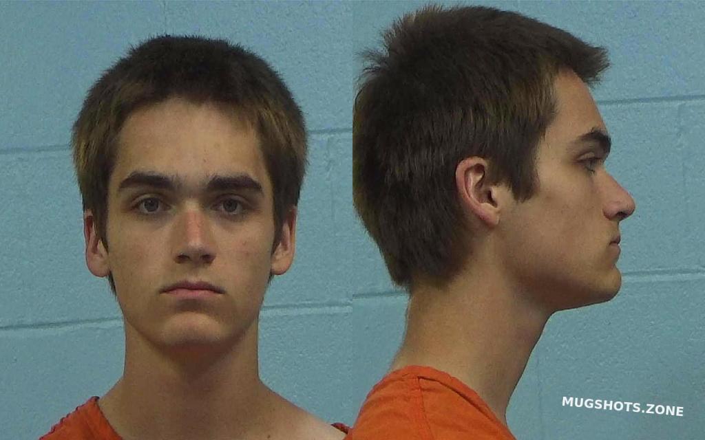 SAVOY JACKSON ROBERT 07/27/2025 - Williamson County Mugshots Zone